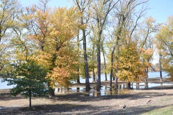 Explore the 5 popular beaches in Missouri 2024