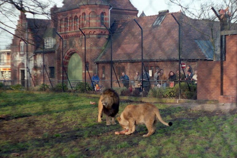 The 20 Most Beautiful Zoo In The World - Travels Canvas